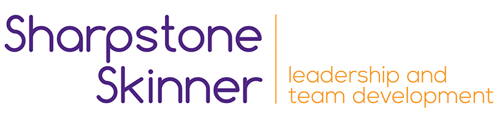 Insights Discovery - Sharpstone Skinner